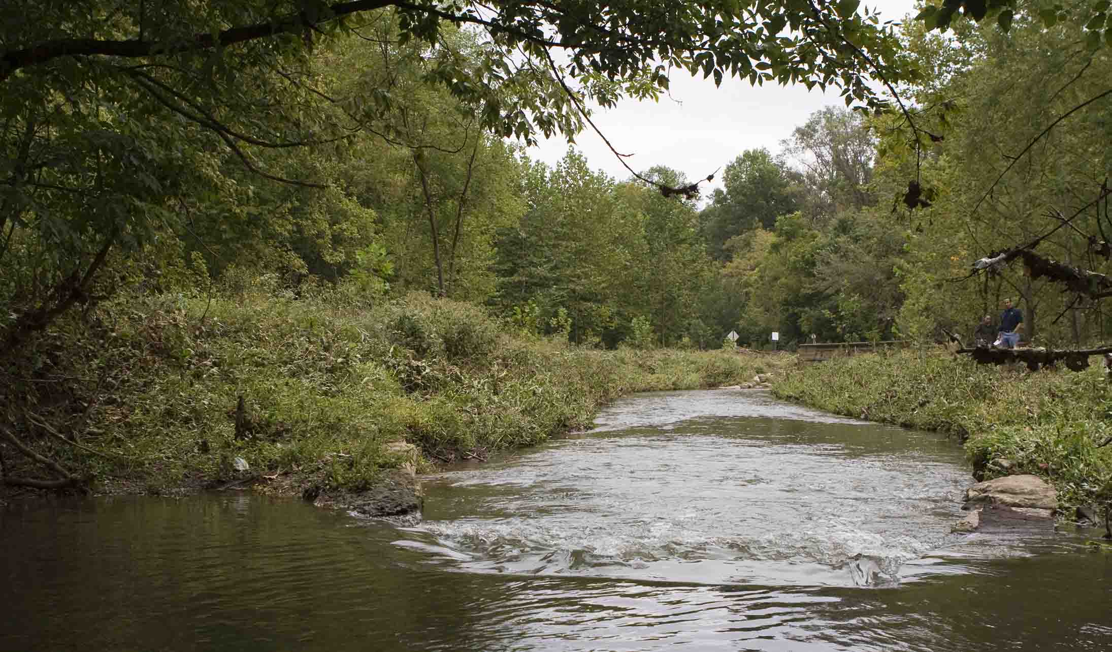 Explore the Falls Area